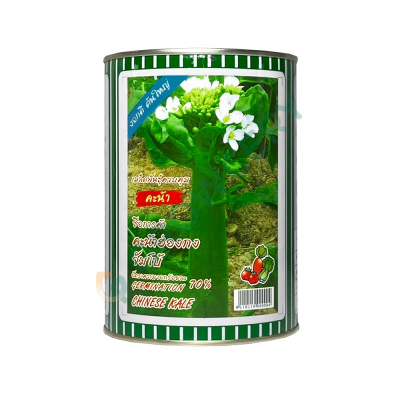 GROWCERY คะน้าฮ่องกง จัมโบ้ ตราปลาทอง ขนาด 500ก. (กระป๋อง)