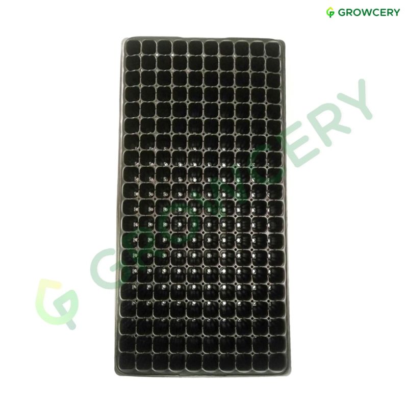 GROWCERY ถาดเพาะกล้า หนา 1 มม. 200 หลุม