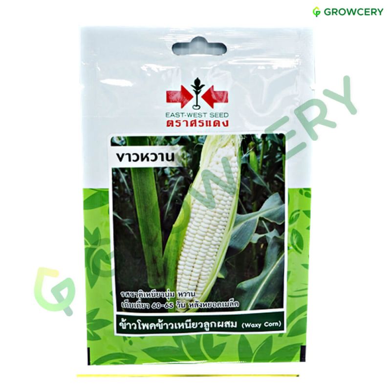 GROWCERY ข้าวโพดข้าวเหนียวลูกผสม ขาวหวาน (ซอง) -200 g