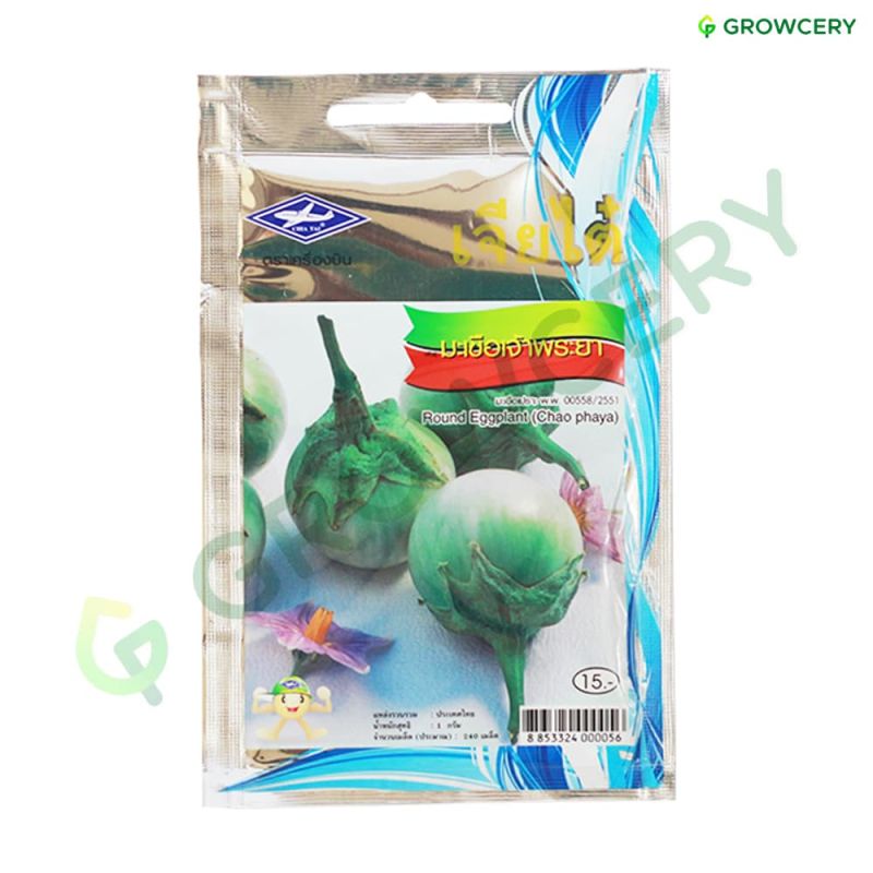 GROWCERY มะเขือเจ้าพระยา ตราเครื่องบิน เจียไต๋ ขนาด 1 กรัม (ซอง)