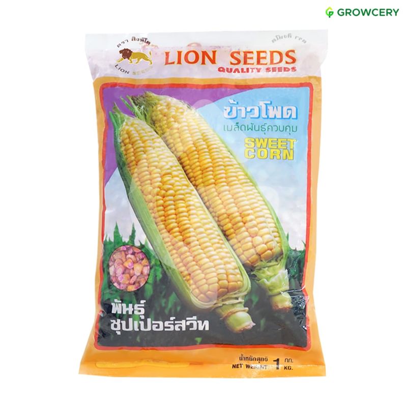 GROWCERY ข้าวโพด พันธุ์ ซุปเปอร์สวีท ตราสิงค์โต ขนาด 1000 กรัม (ถุง)