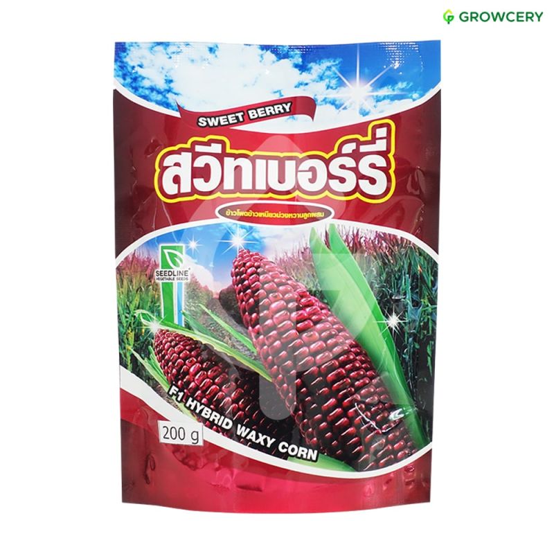 GROWCERY ข้าวโพดข้าวเหนียวม่วงหวานลูกผสม สวีทเบอร์รี่ ตรา SEEDLINE ขนาด 200 กรัม (ถุง)